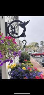 Hummingbird | Harrington Hangers